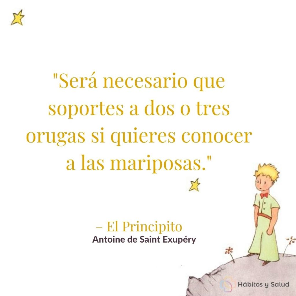 Las mejores frases cortas del Principito » Hábitos y Salud